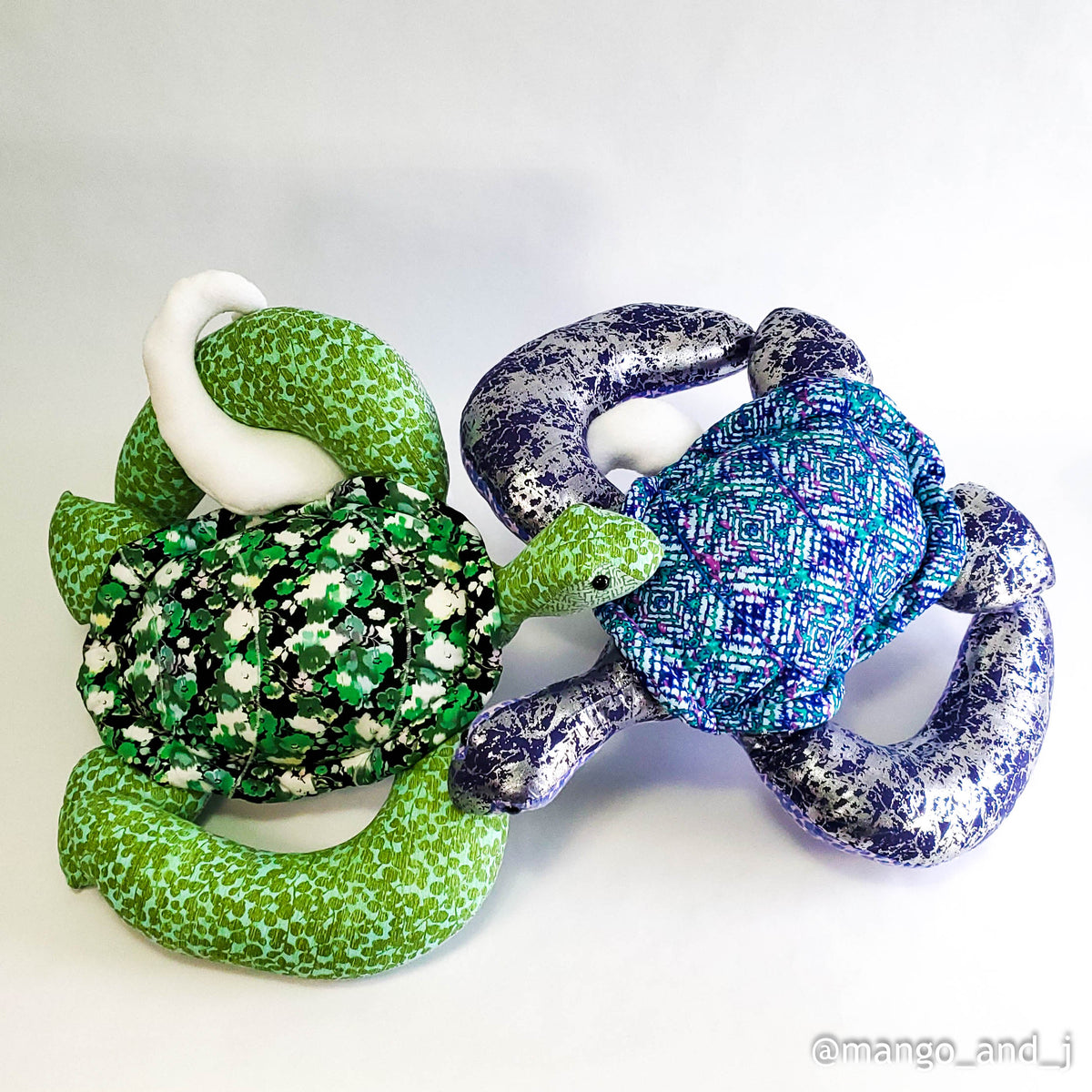 Follow the Turtles – Mango and J